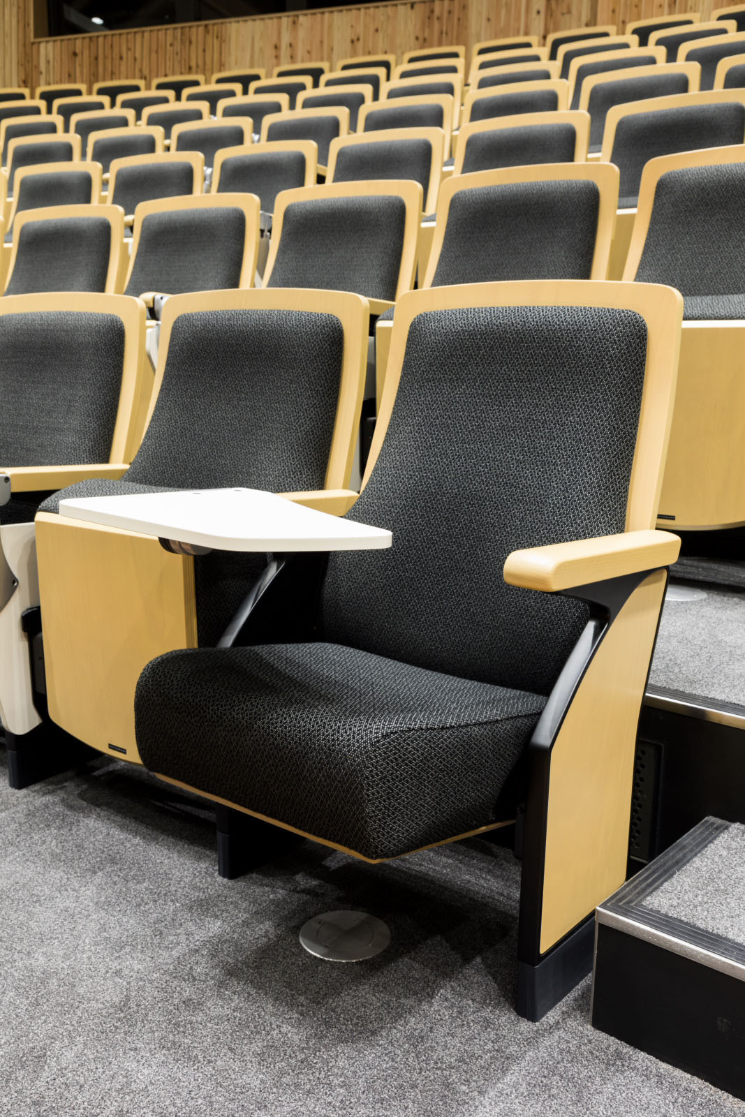 Meet the New Cast! - Audience Systems